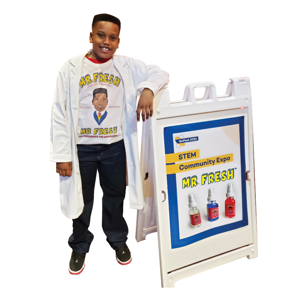 Air Fresheners and Deodorizers